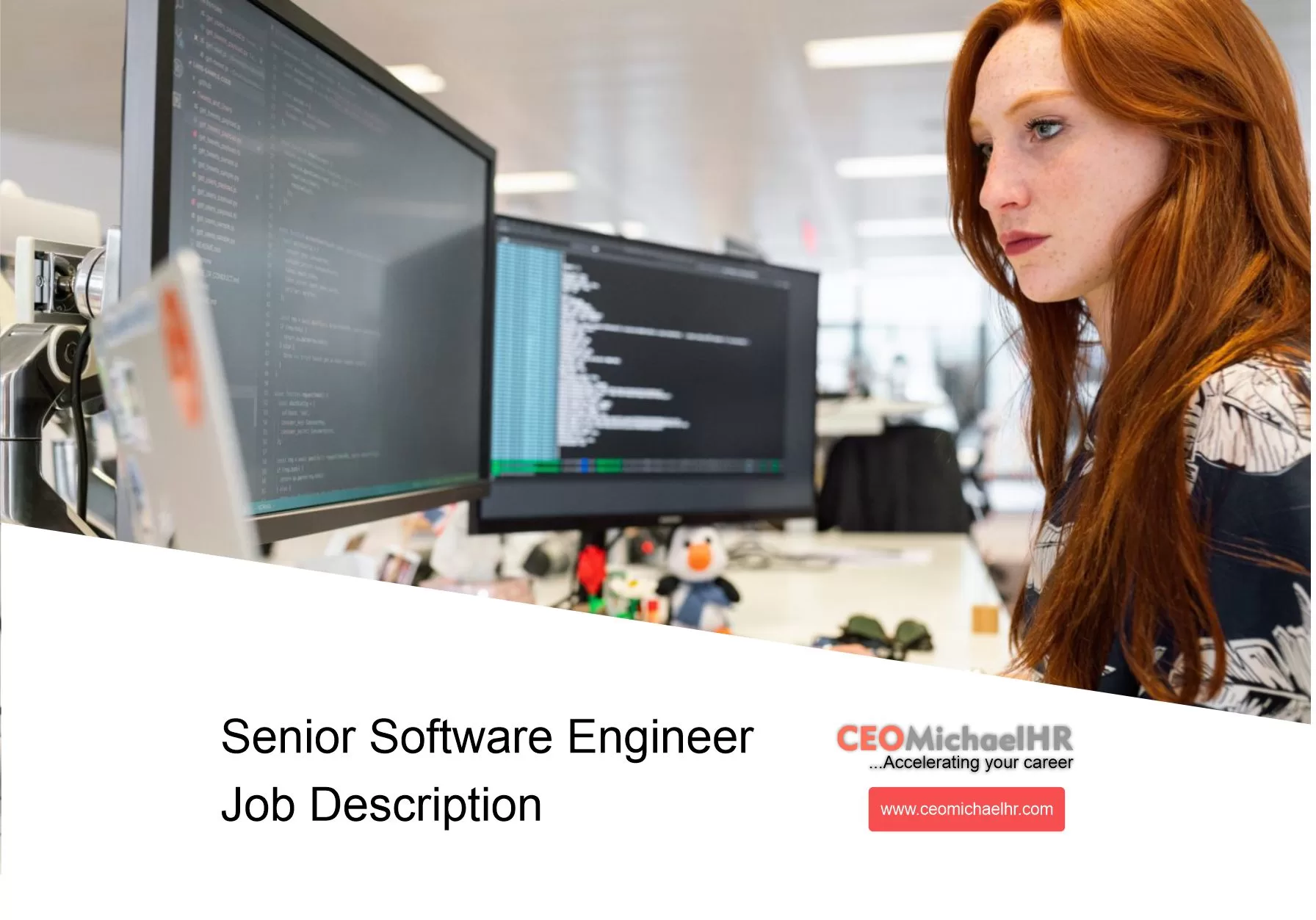  Senior Software Engineer Job Description CEOMichaelHR Resume Writing 