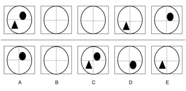 The Predictive Index Test: (2025) Full Guide