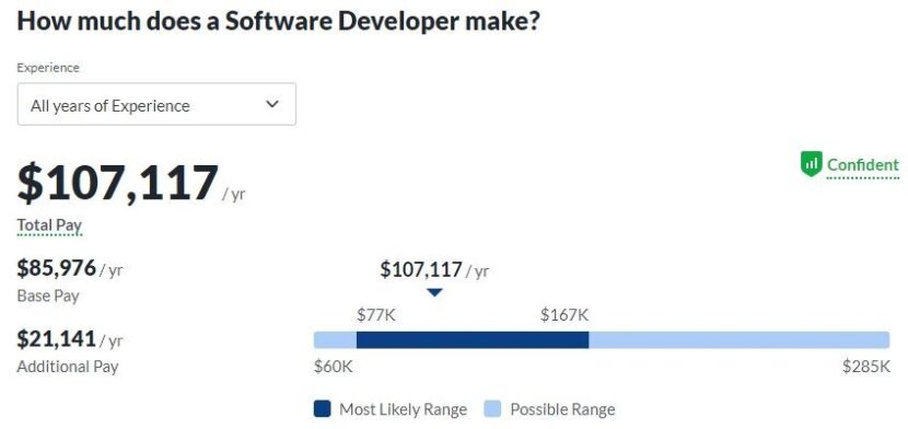 Best Software Developer Job Description - CEOMichaelHR Services