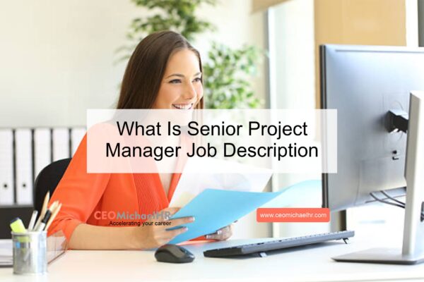 Best Senior Project Manager Job Description