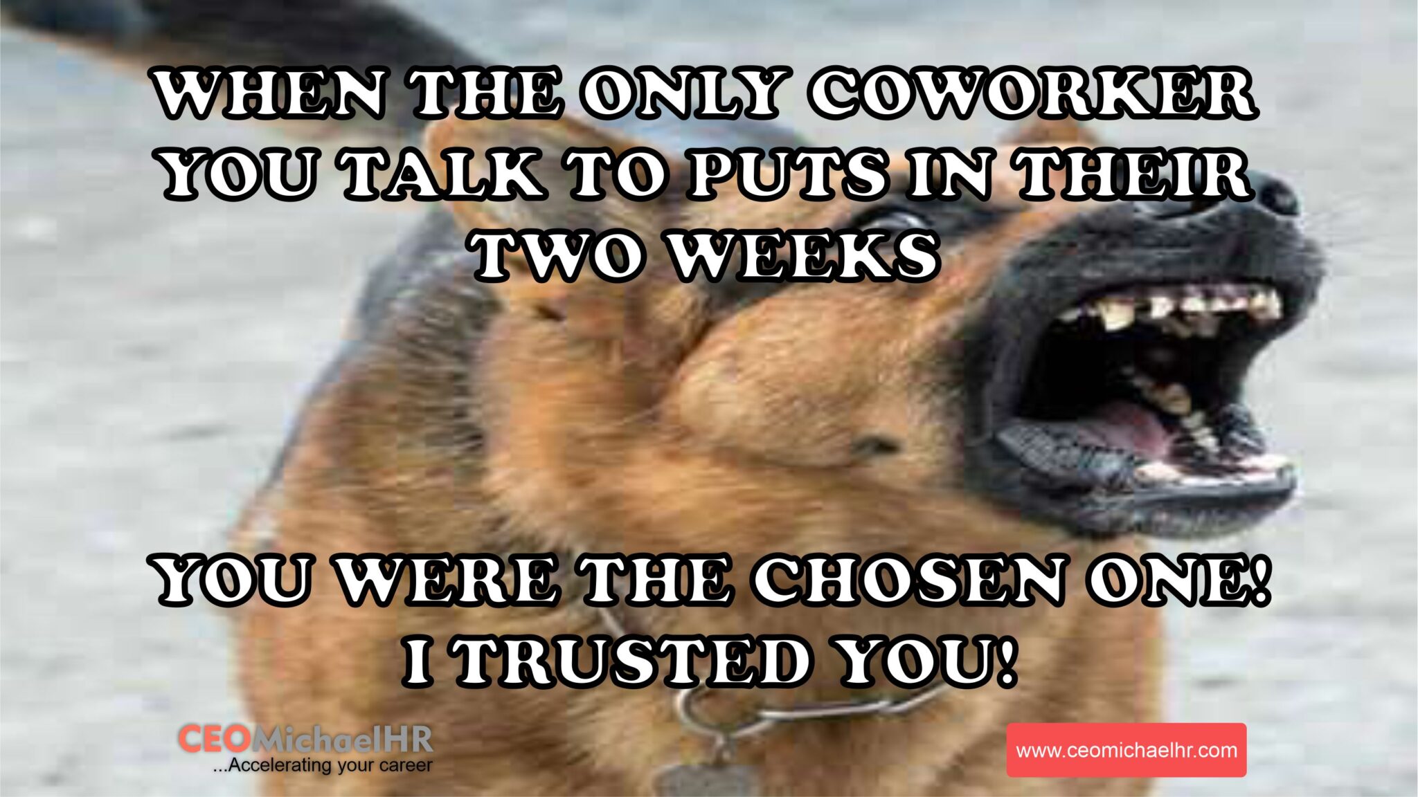 When Your Favorite Coworker Quits- How to Move on - CEOMichaelHR Resume ...