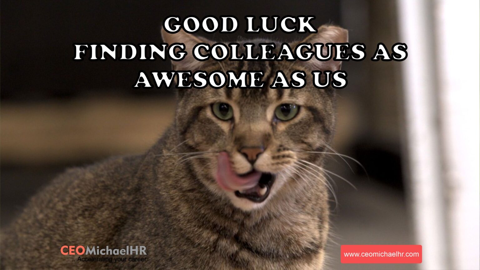 When Your Favorite Coworker Quits- How to Move on - CEOMichaelHR Resume ...