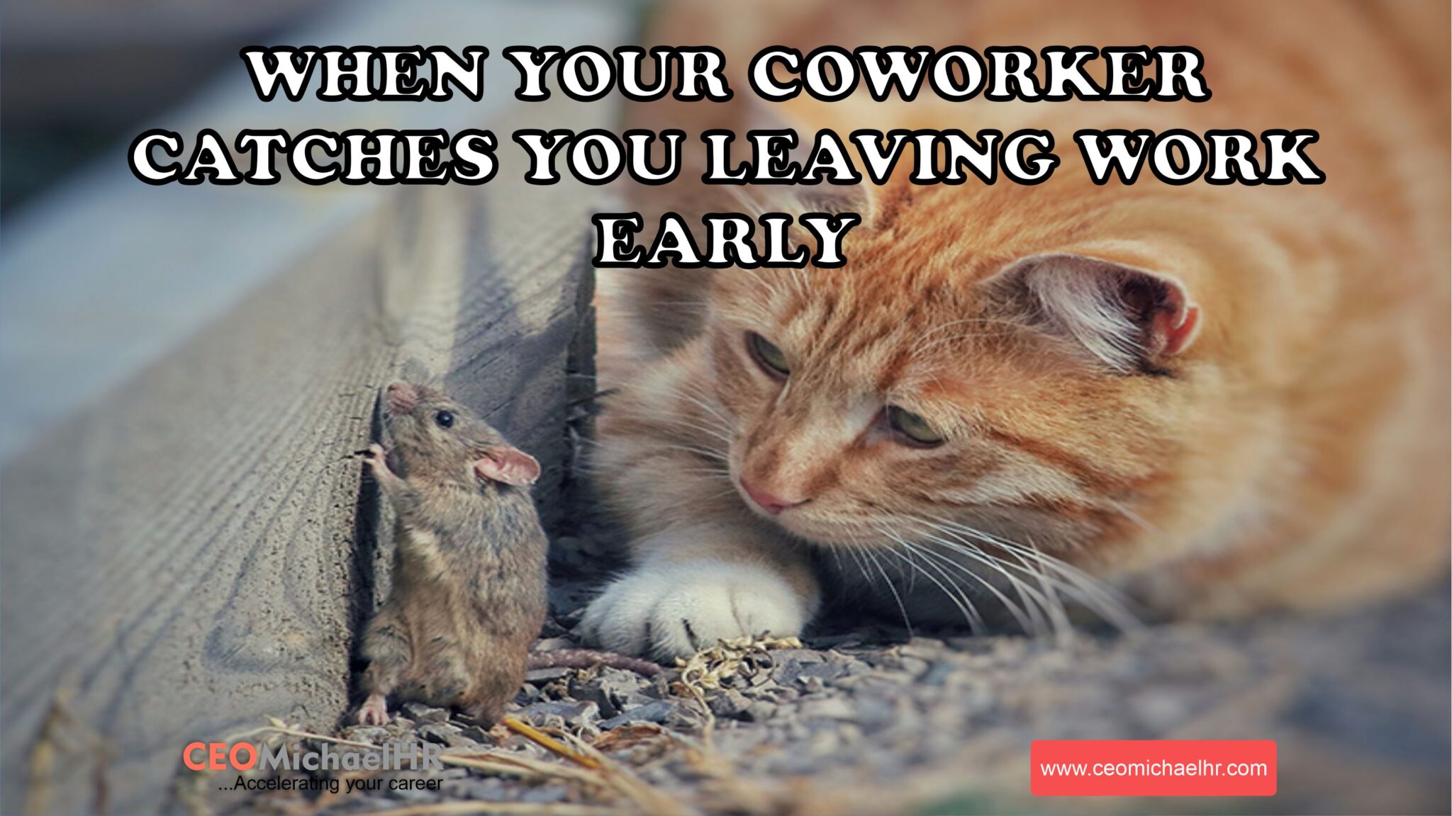 When Your Favorite Coworker Quits- How to Move on - CEOMichaelHR Resume ...